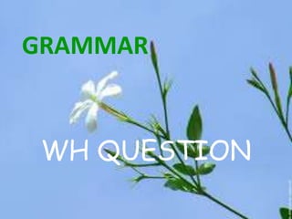 WH-WORDS-MEANINGS.ppt