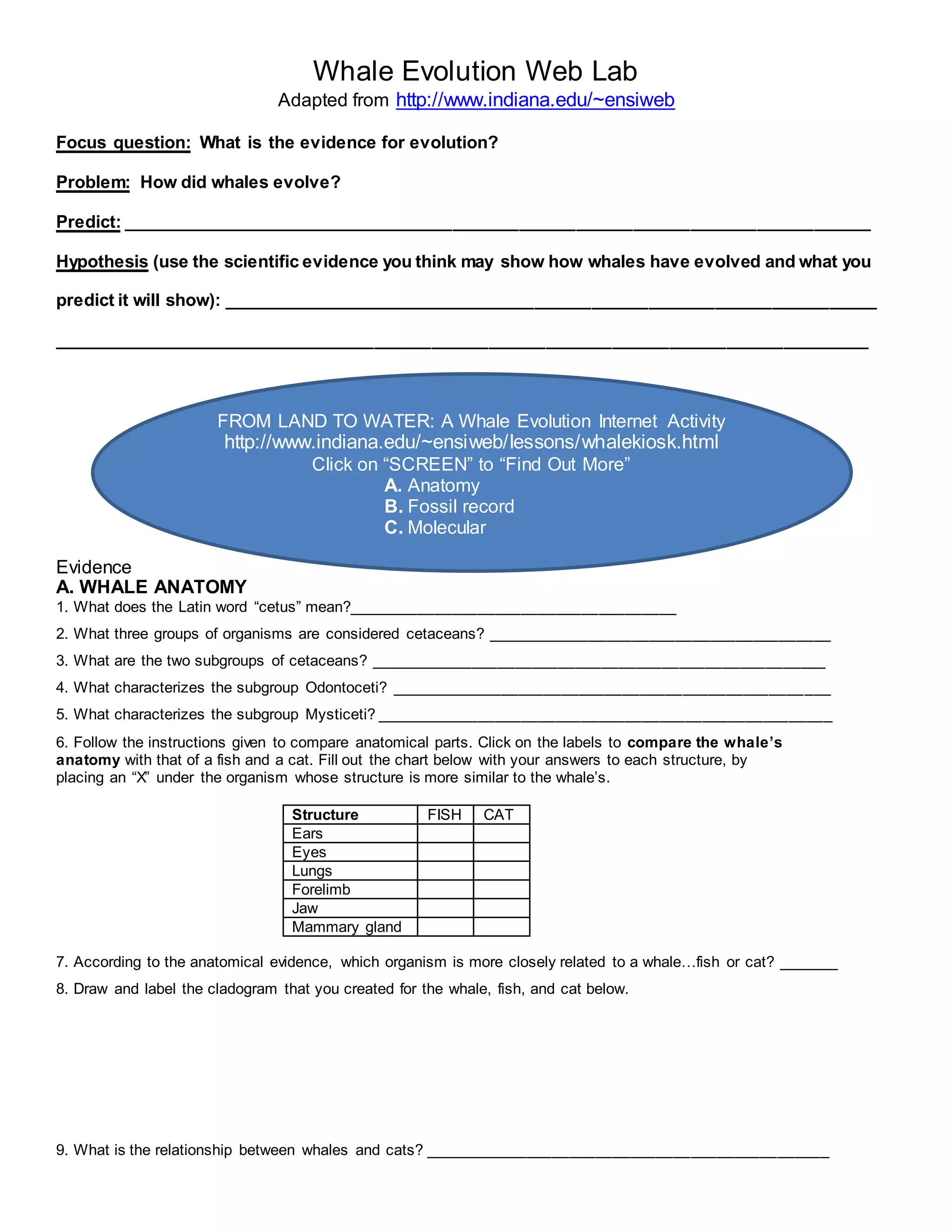 Whale evolution-web-lab-1e4svwj | DOCX
