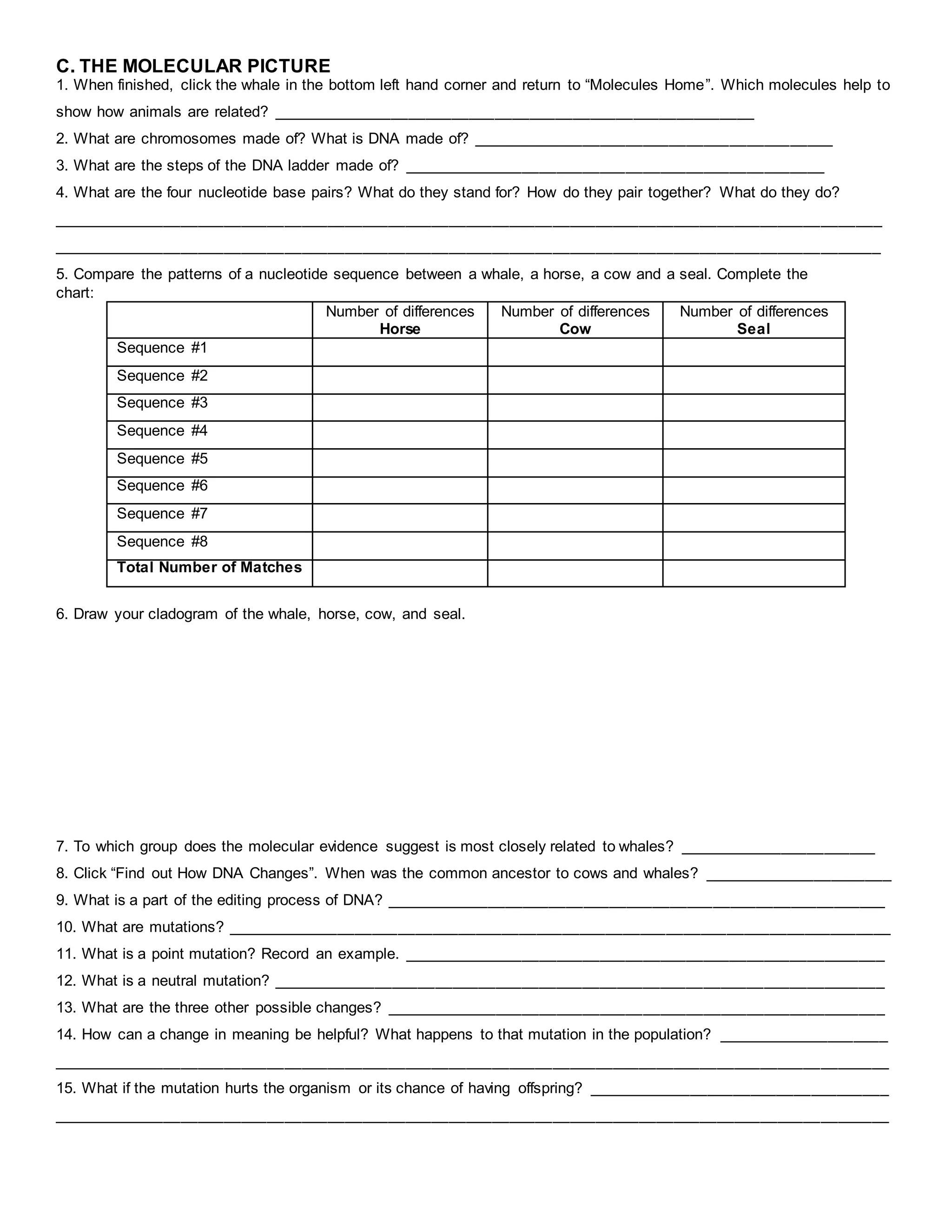 Whale evolution-web-lab-1e4svwj | DOCX