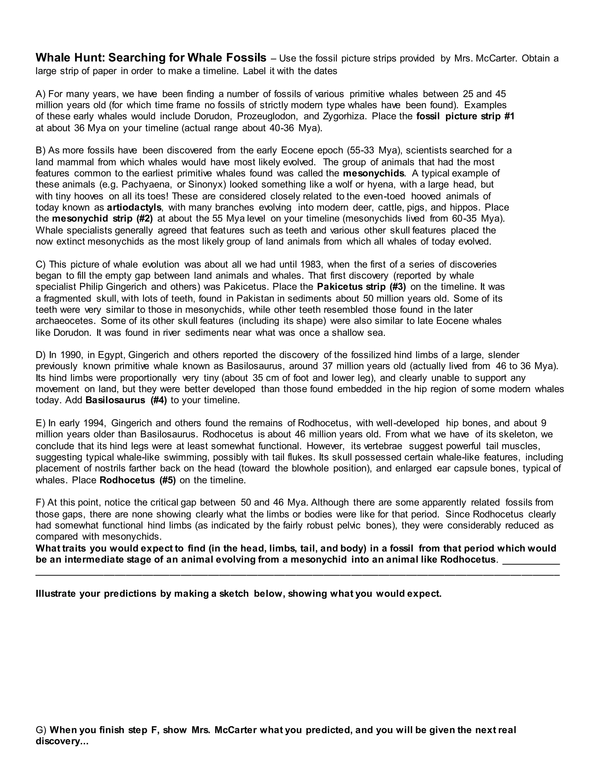 Whale evolution-web-lab-1e4svwj | DOCX