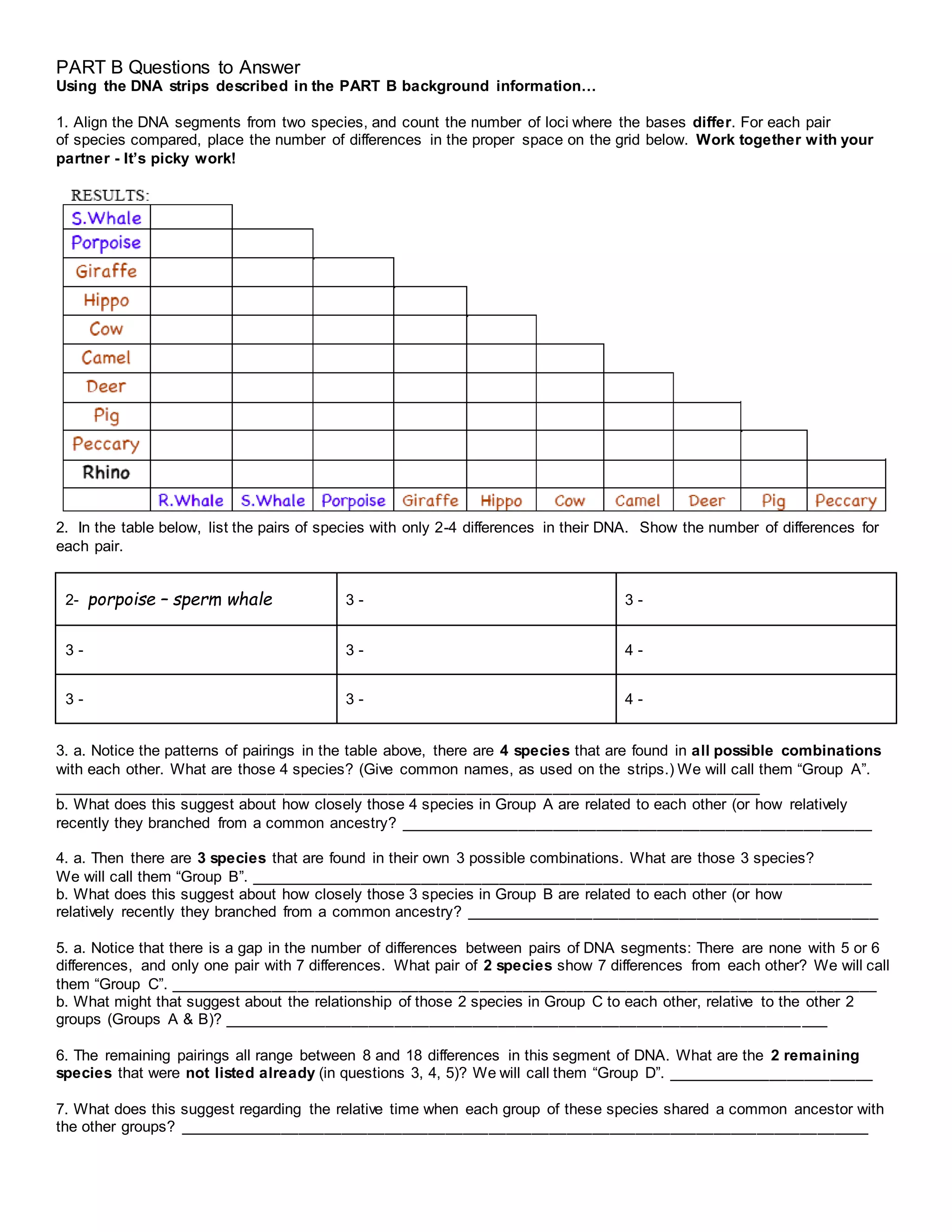 Whale evolution-web-lab-1e4svwj | DOCX