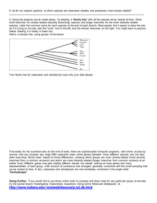 Whale evolution-web-lab-1e4svwj | DOCX