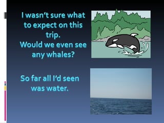 Whale Watching | PPT