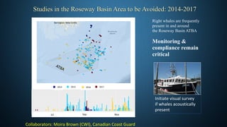 Using Ocean Gliders to Monitor and Mitigate Risk to Baleen Whales in ...