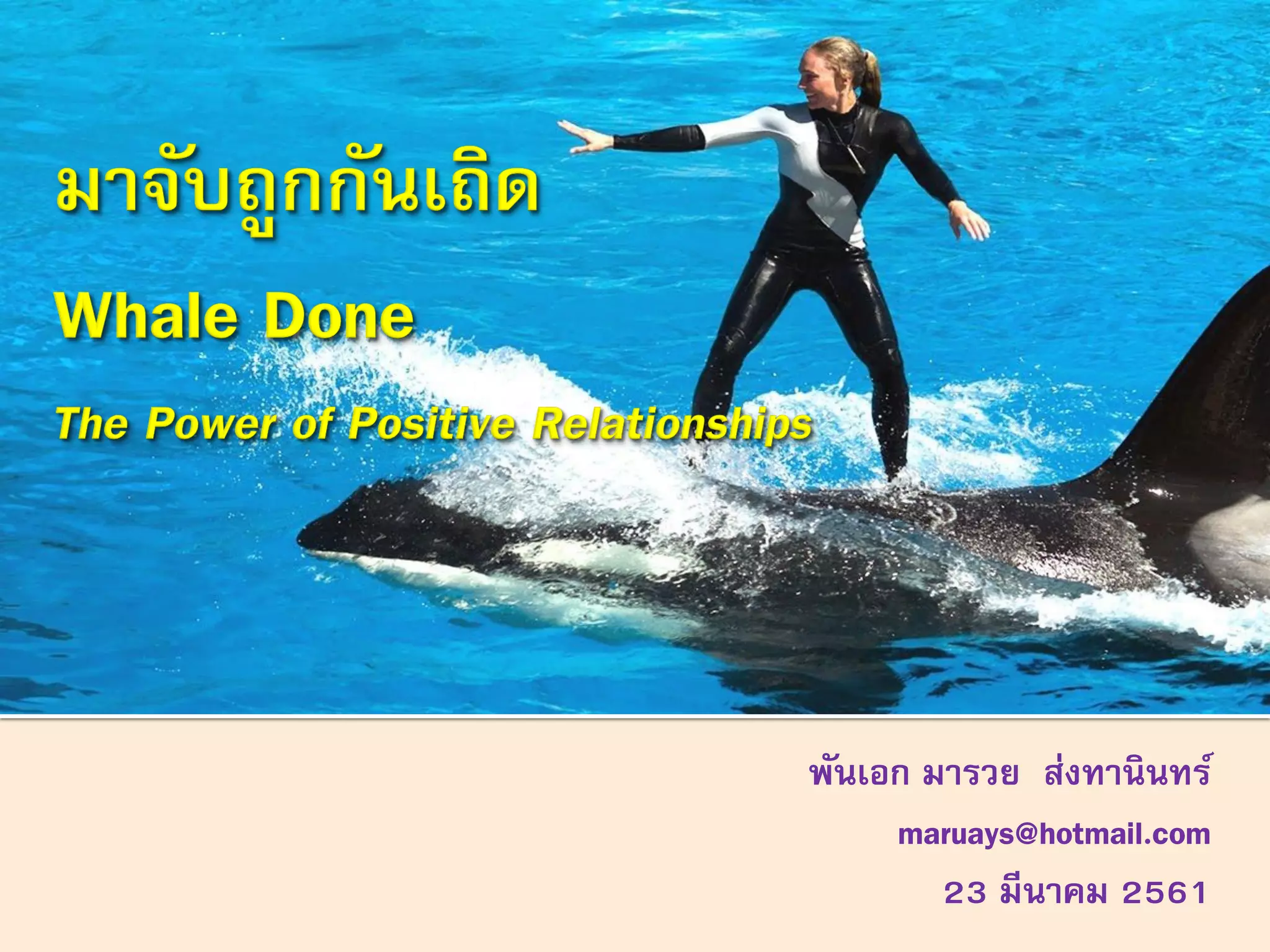Whale done | PPT