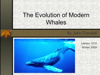 Whale Evolution | PPT