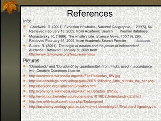 Whale Evolution | PPT