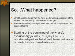 Whale Evolution | PPT
