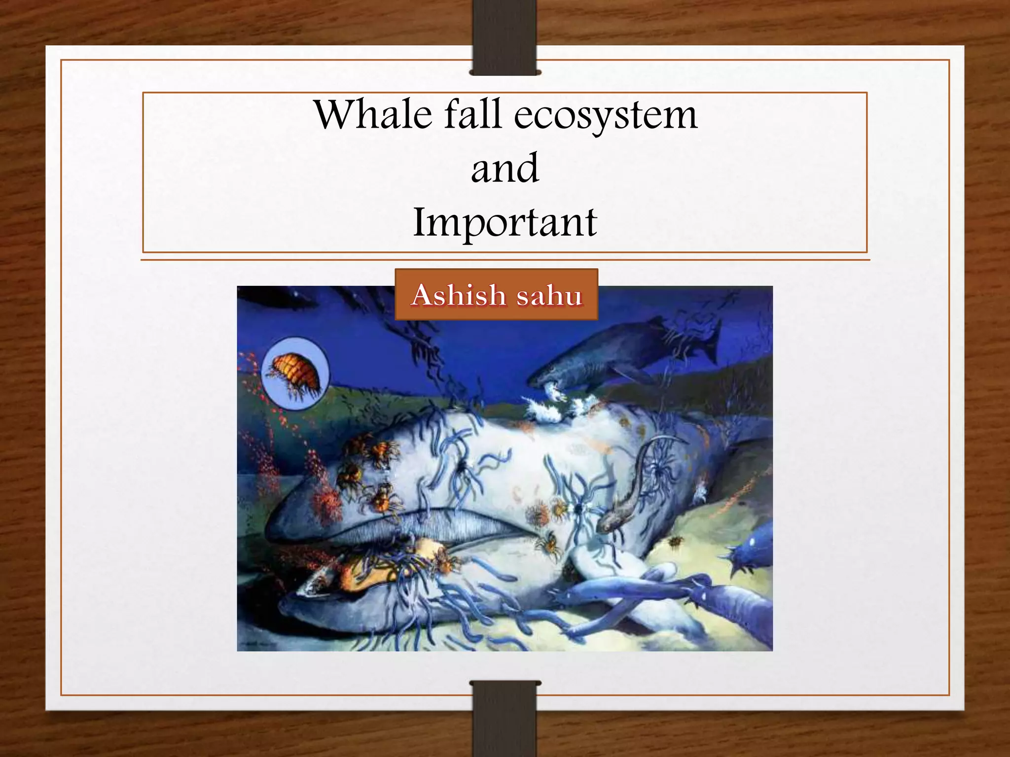 Whale falls ecosystem and their importance | PPT