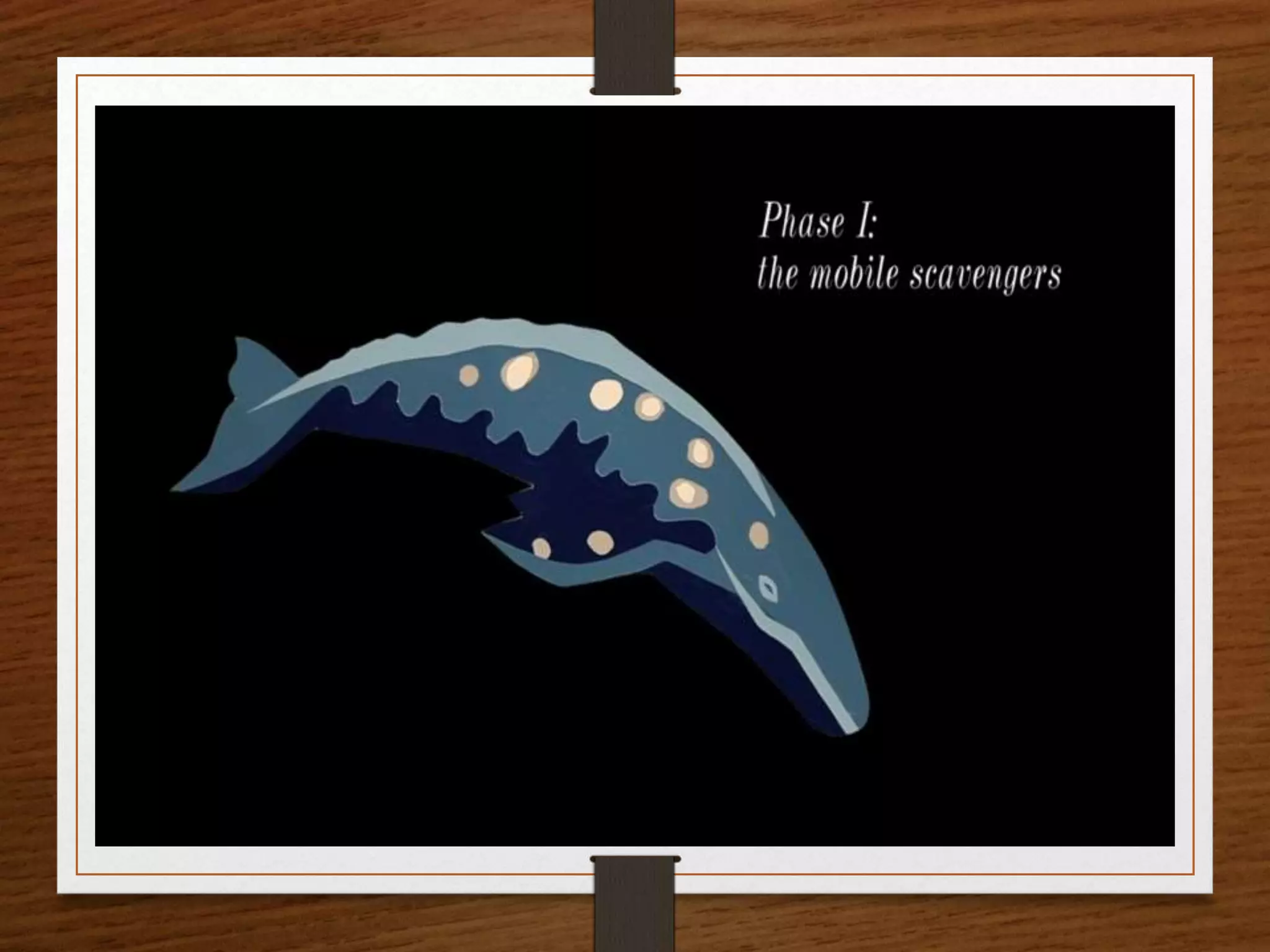 Whale falls ecosystem and their importance | PPTX