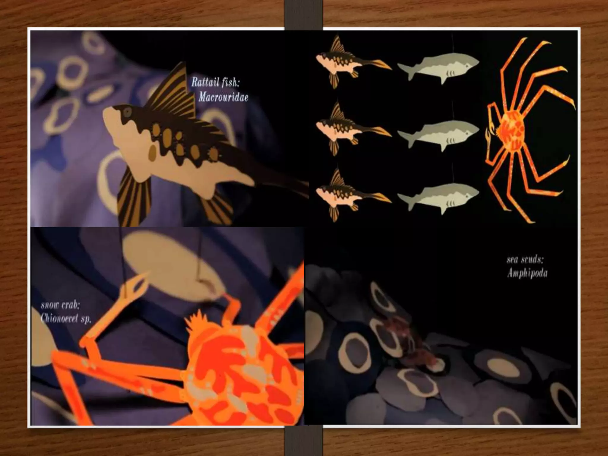 Whale falls ecosystem and their importance | PPTX