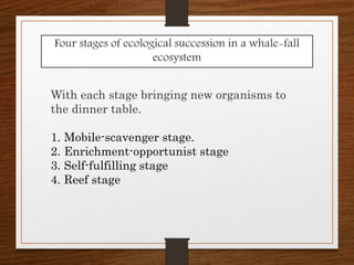 Whale falls ecosystem and their importance | PPT