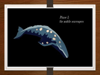Whale falls ecosystem and their importance | PPT