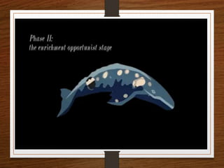 Whale falls ecosystem and their importance | PPT