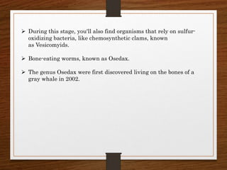 Whale falls ecosystem and their importance | PPT