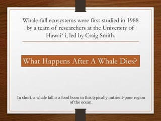 Whale falls ecosystem and their importance | PPT