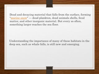 Whale falls ecosystem and their importance | PPT
