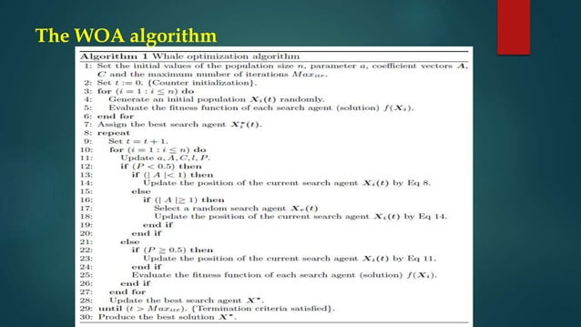Whale optimizatio algorithm | PPTX | Science