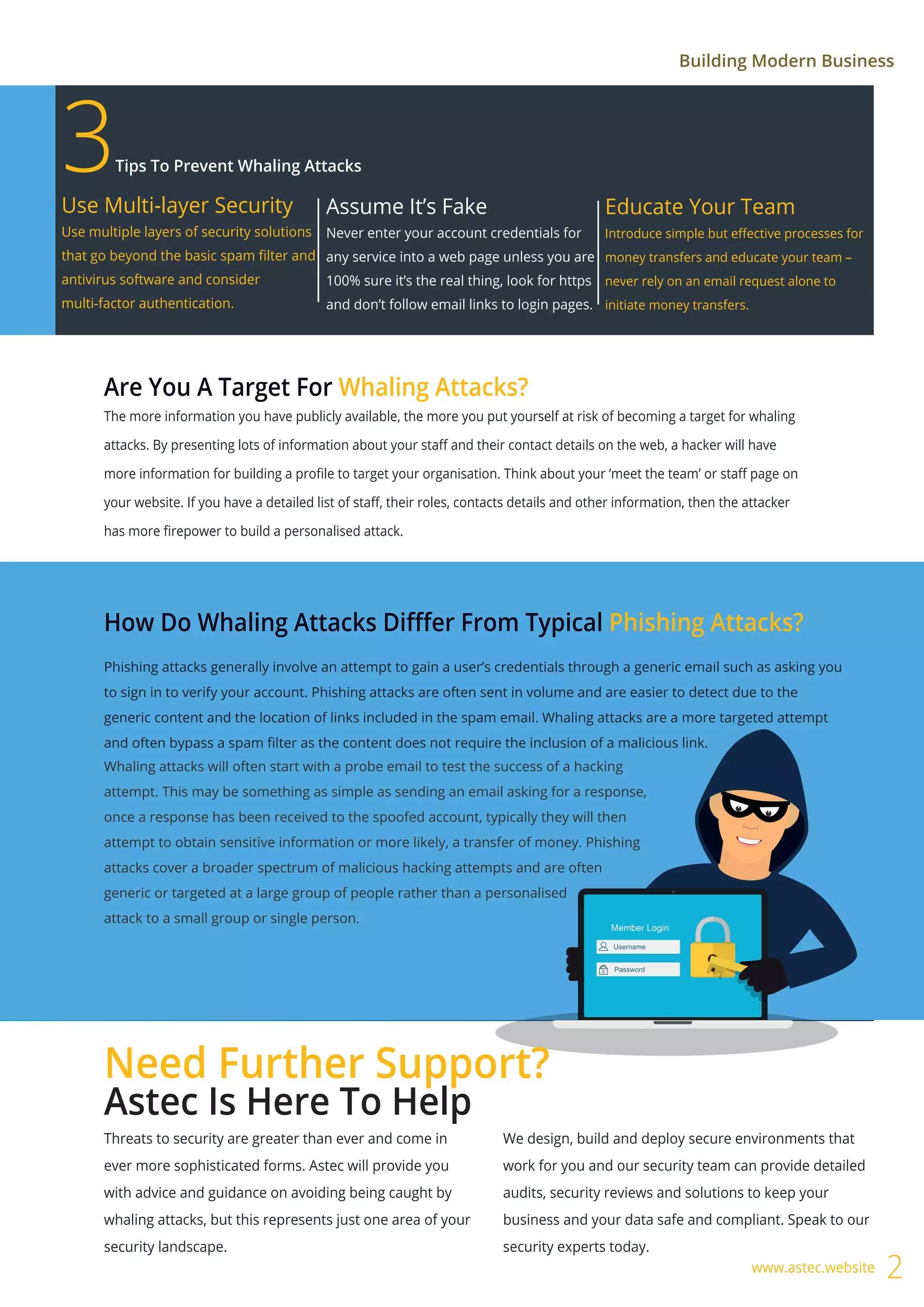 Data Security: A Guide To Whale Phishing | PDF
