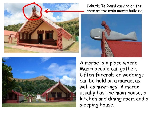 Whale rider whangara