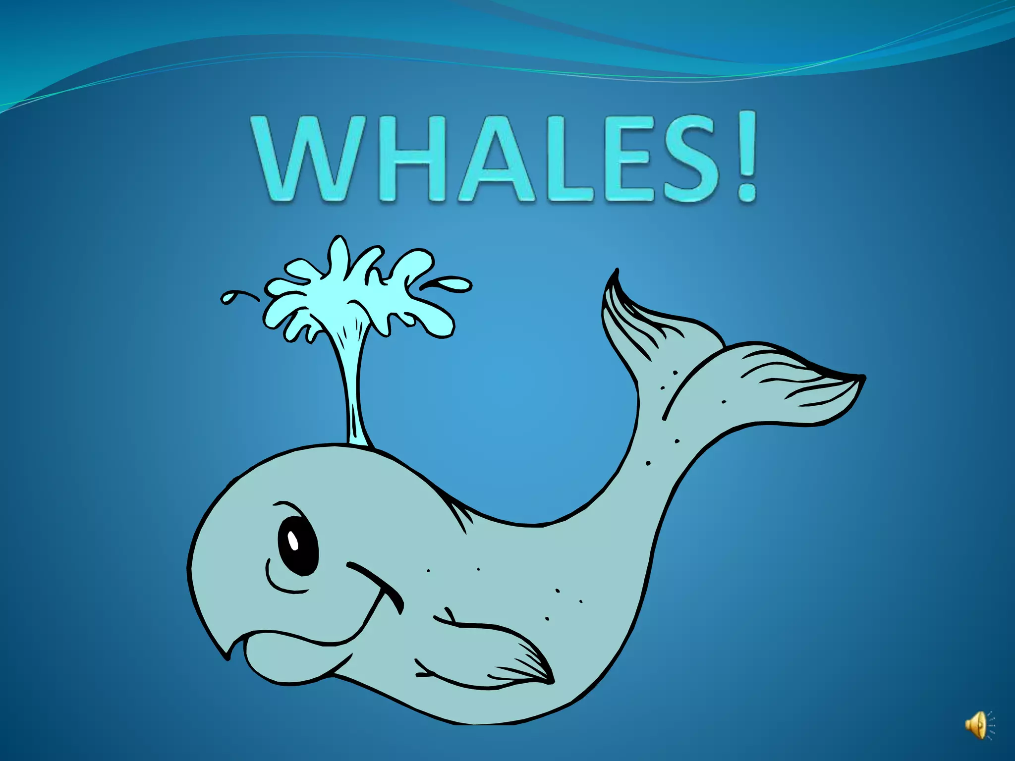 Whales! | PPT