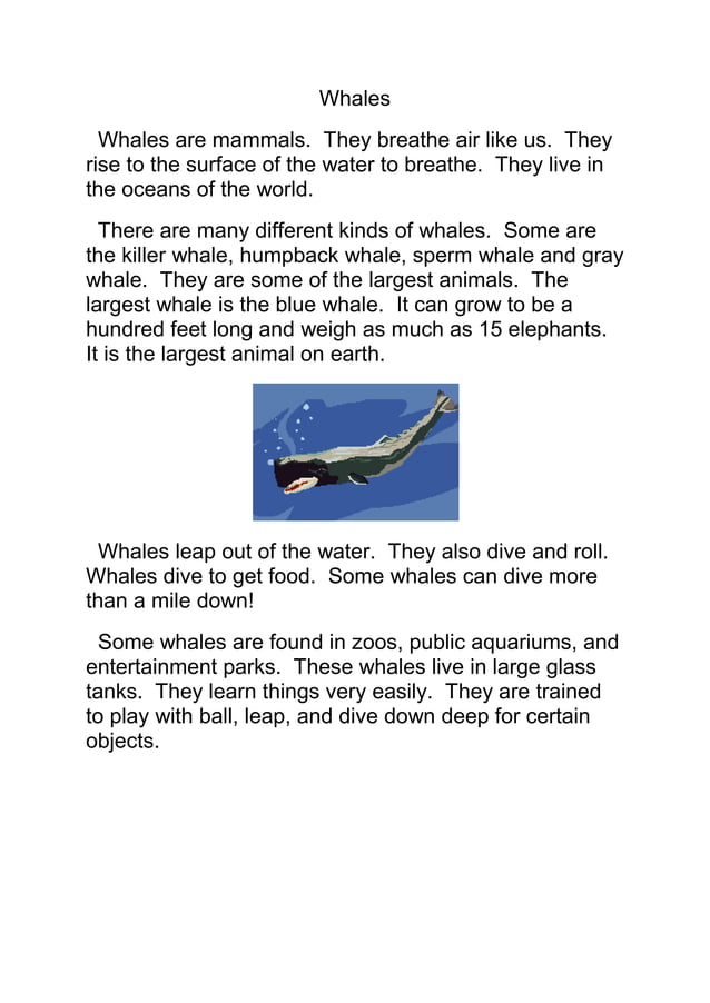 Whales | DOCX