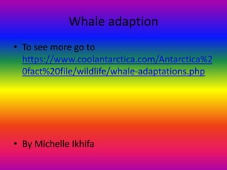 Whales | PPTX