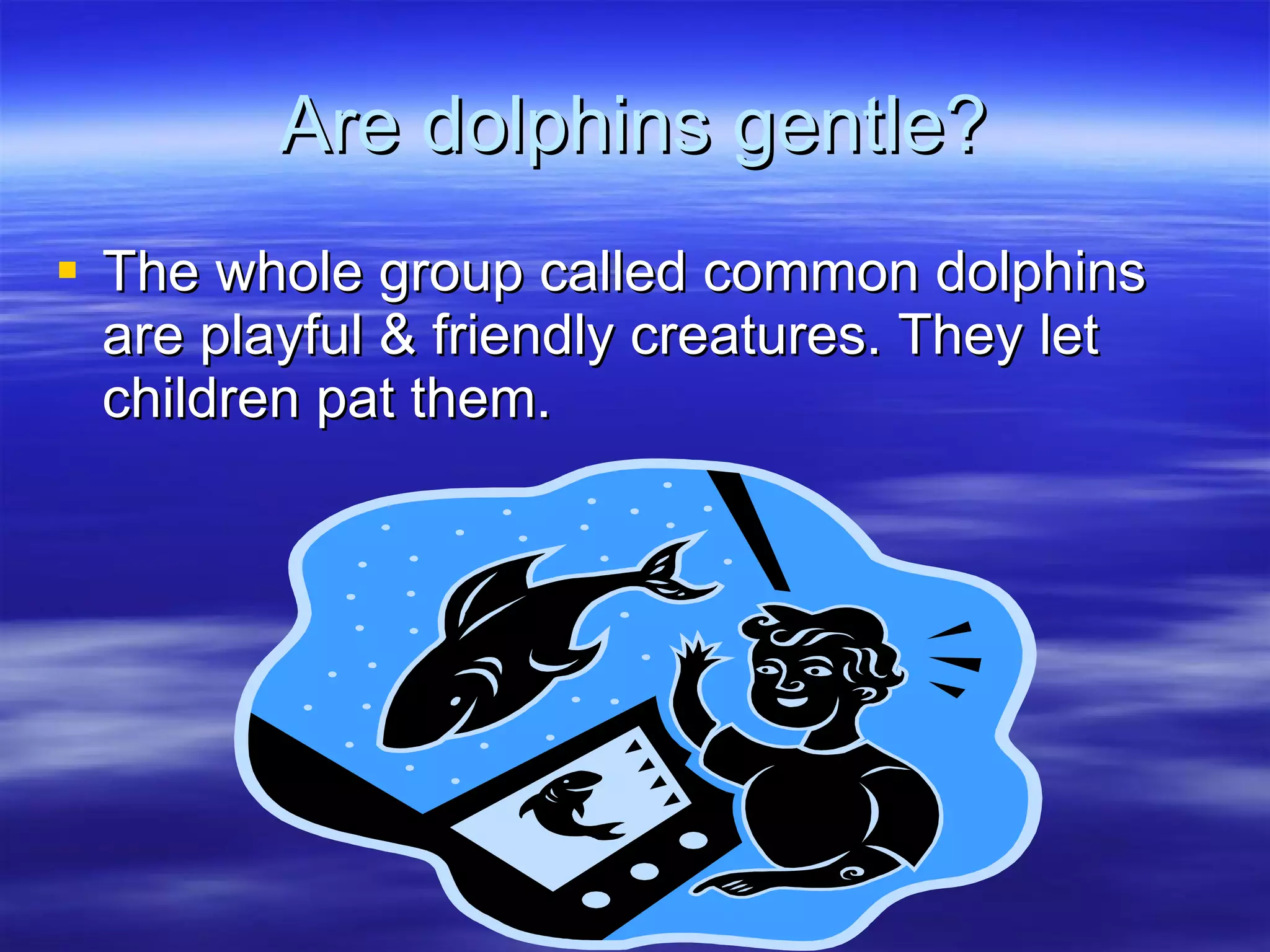 Whales and dolphins | PPT