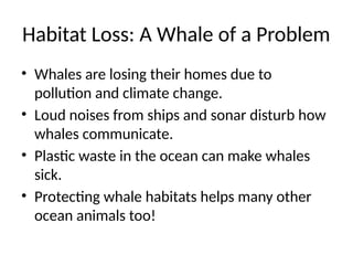 Whale Science Lesson - Extended Facts.pptx