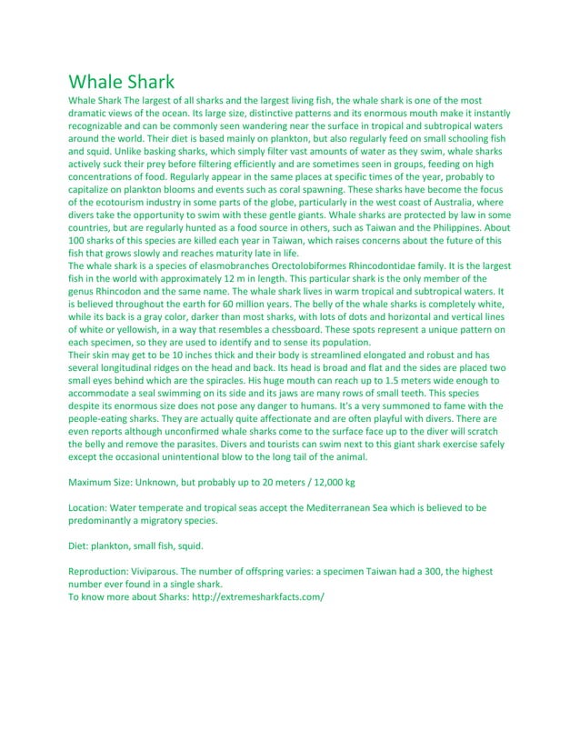 Whale shark | PDF | Free Download