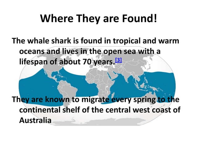 Whale shark ppt | PPTX | Fish and Aquariums | Pets