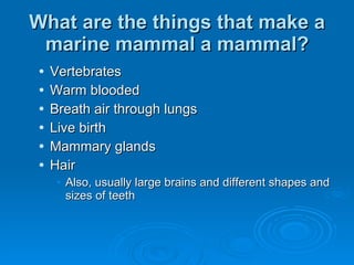 Marine Mammals Long Island | PPT