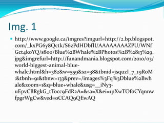 Whaling presentation slidecast | PPT