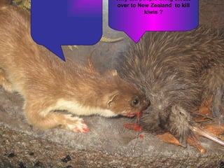 Wha S Endangered Species Slide S All Together | PPT