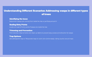 Whasps in tree but no nests.pptx