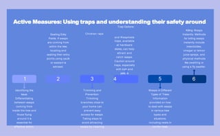 Whasps in tree but no nests.pptx