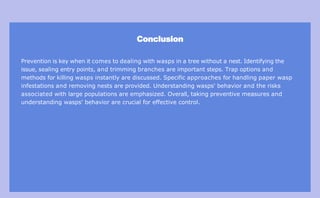 Whasps in tree but no nests.pptx