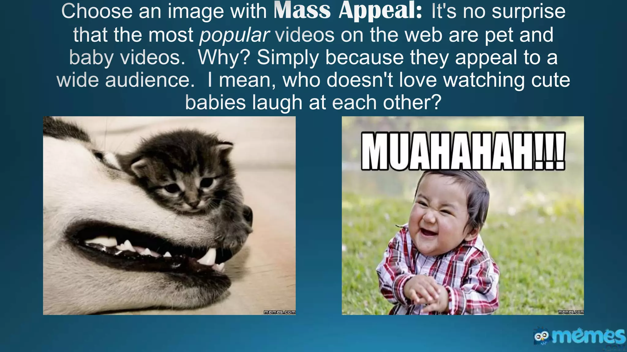 What makes a great meme go viral-How to make a Meme | PPT