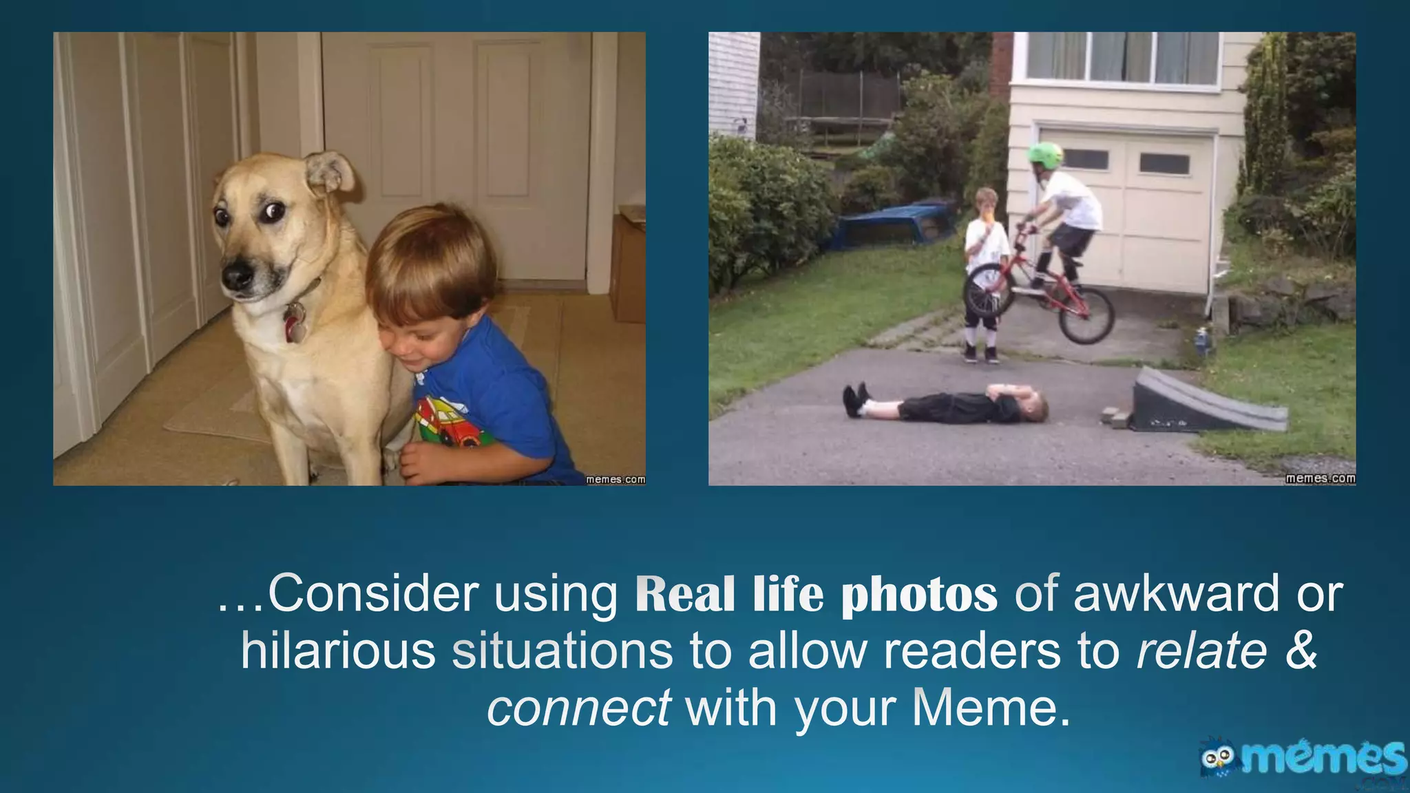 What makes a great meme go viral-How to make a Meme | PPTX