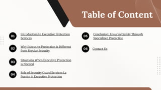 What Are Executive Protection Services, And When Are They Needed? | PDF
