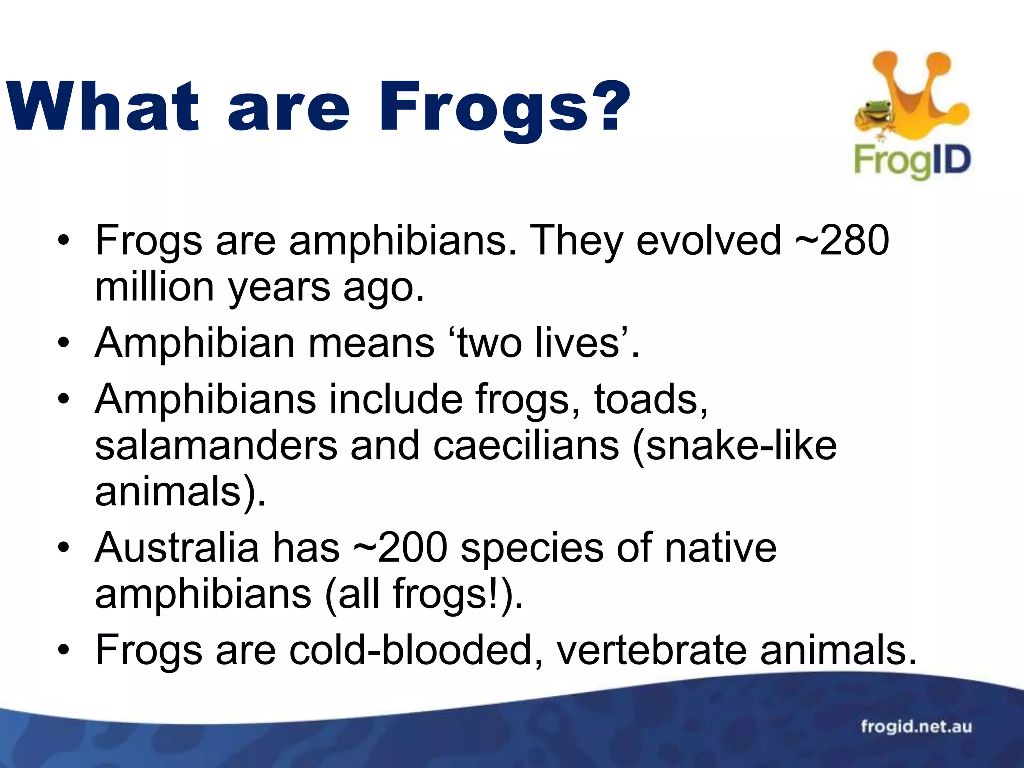 what-are-frogs-slides.pptx