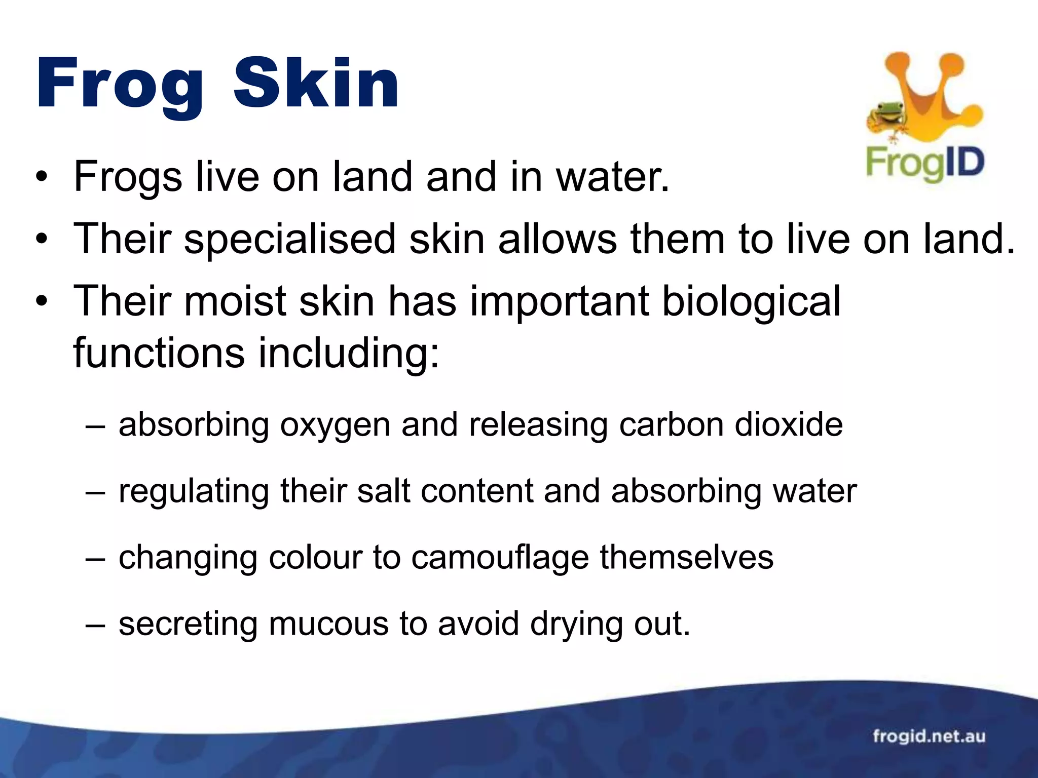 what-are-frogs-slides.pptx