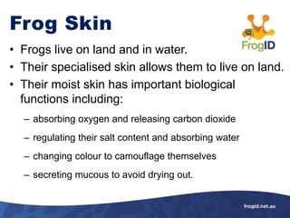 what-are-frogs-slides.pptx