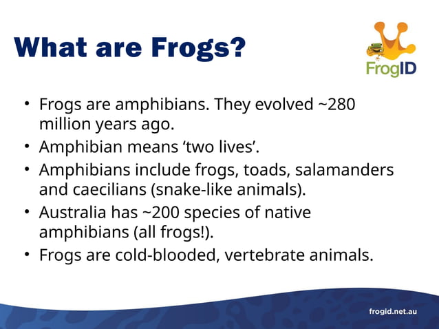Frogs, their features and amphibious evolution | PPTX