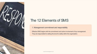 What-are-the-12-Elements-of-SMSystemspdf | PDF