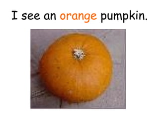 What Colours Do You See | PPT