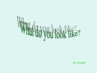 What Do You Look Like