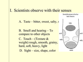 What Does A Scientist Do | PPT