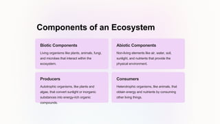 What-is-an-Ecosystem (1)-2.pptx.ppt on ecosystem | PPTX