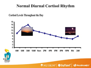 What Is Cortisol | PPT